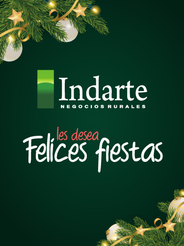 Indarte | Negocios Rurales